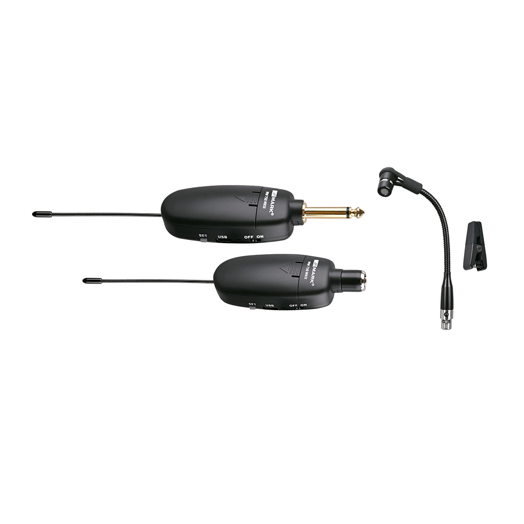 Mark MW 750 MKII – Artist Systems